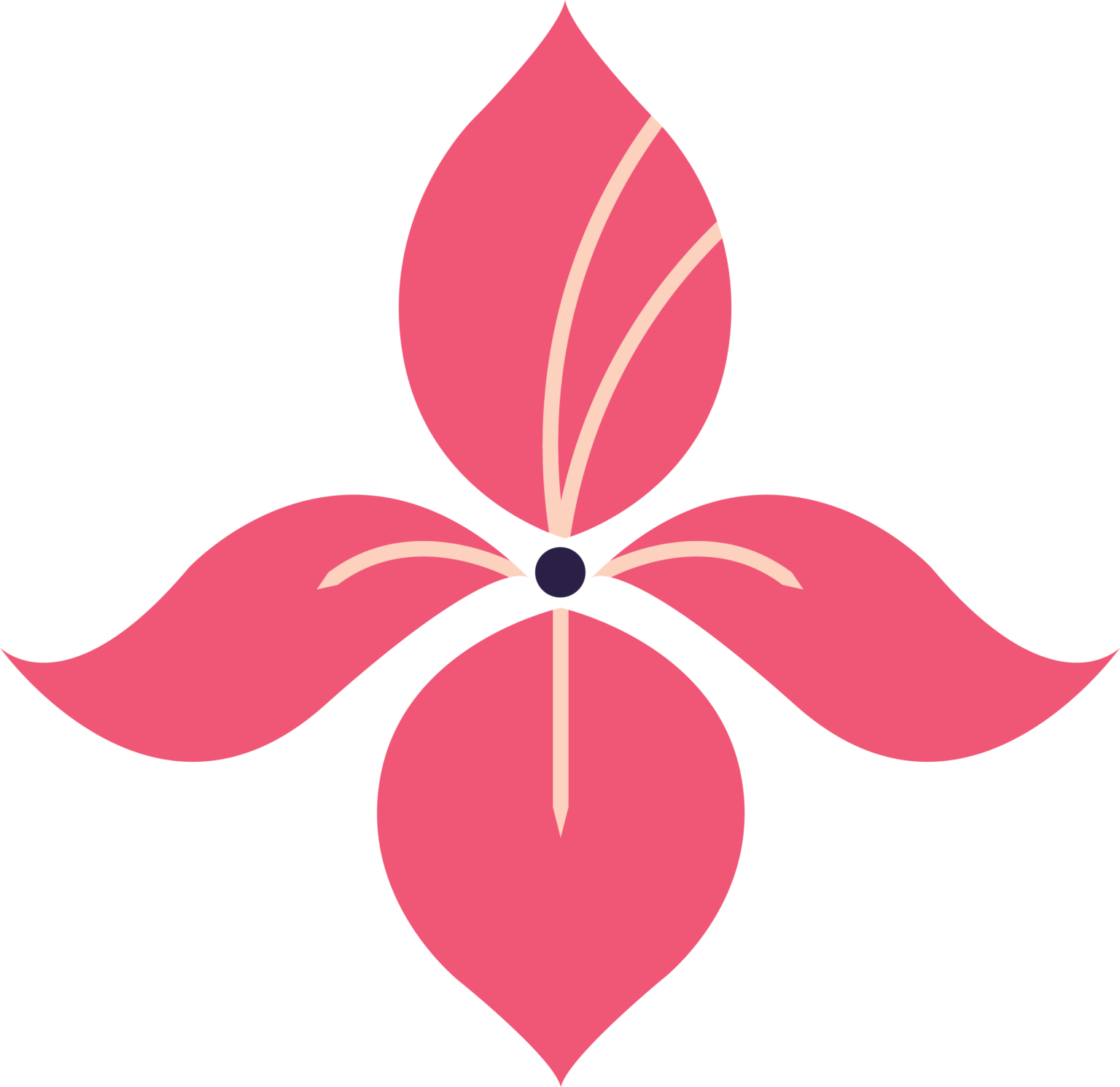 About Us | At Home Healthcare in Middle TN | Iris Medical Group